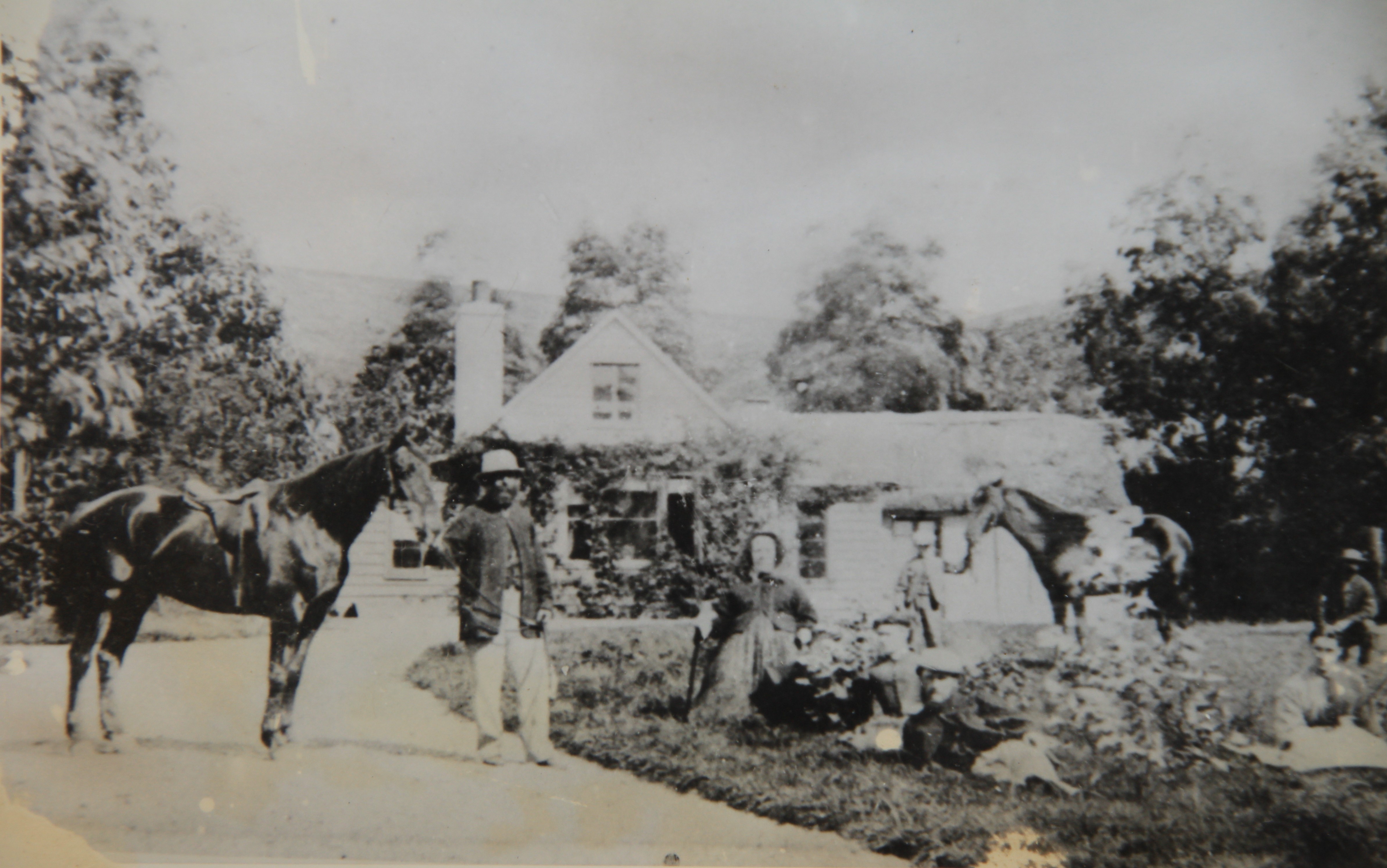 The Murray Ancestry – John and Beverly Murray